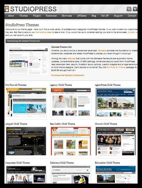 Giveaway day30: Studiopress Theme package - AnimHuT