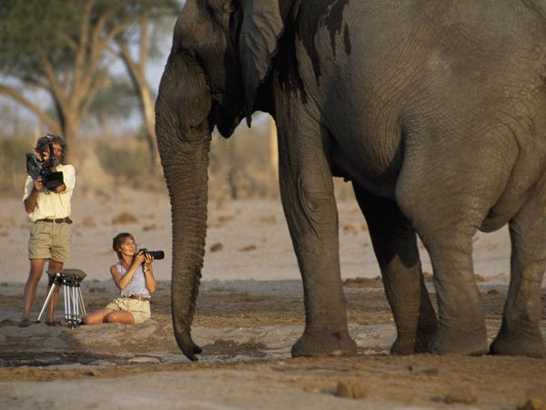Famous Nat Geo Society's First Photography Collections