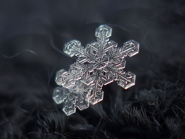 How to take Macro Snowflakes Photography under $50 Customized Lens